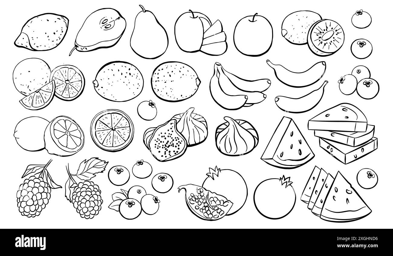 Fruit outline icon set isolated on white background. Vegetarian food ...