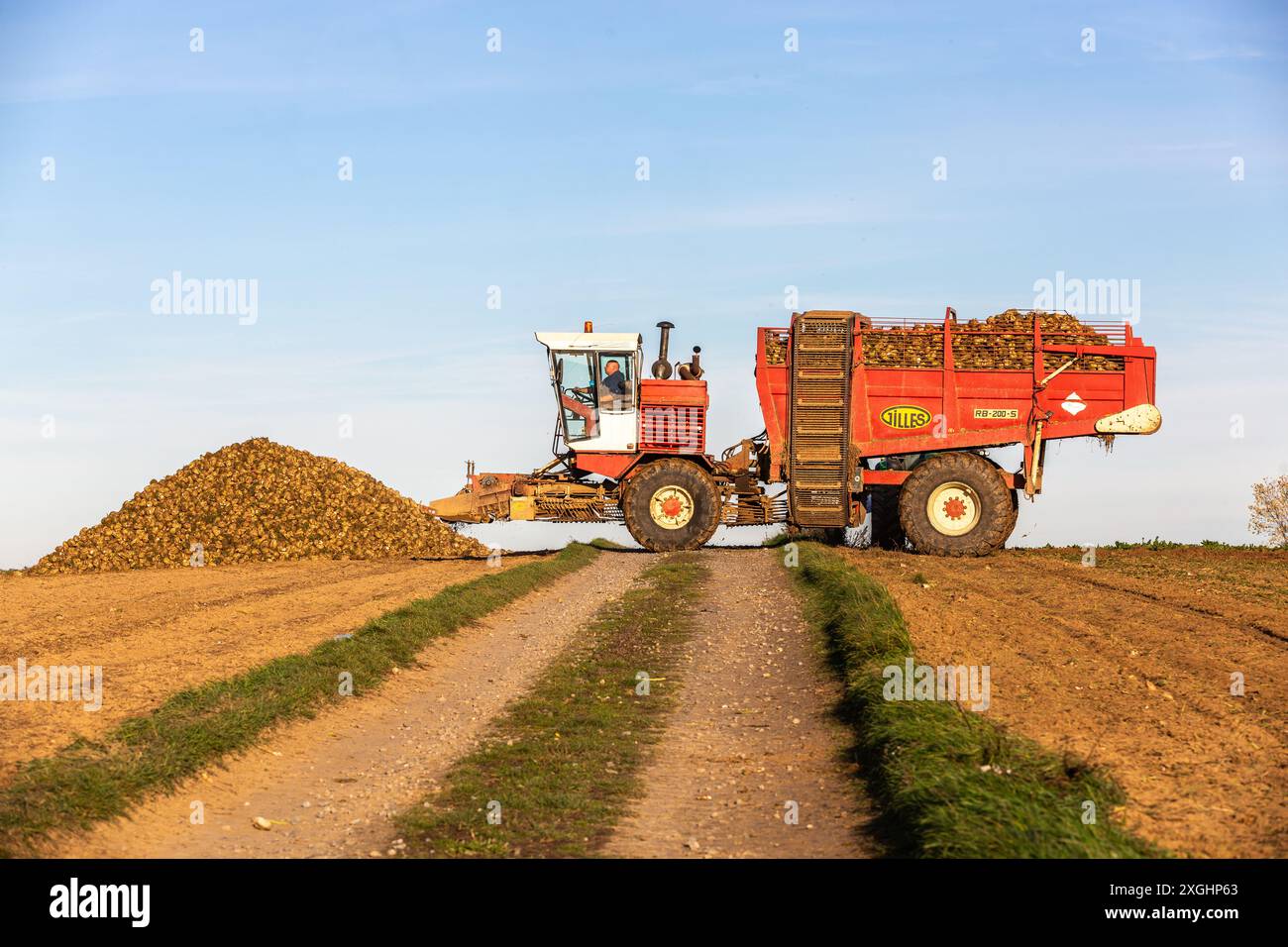 Sugar beet harvester hi-res stock photography and images - Alamy