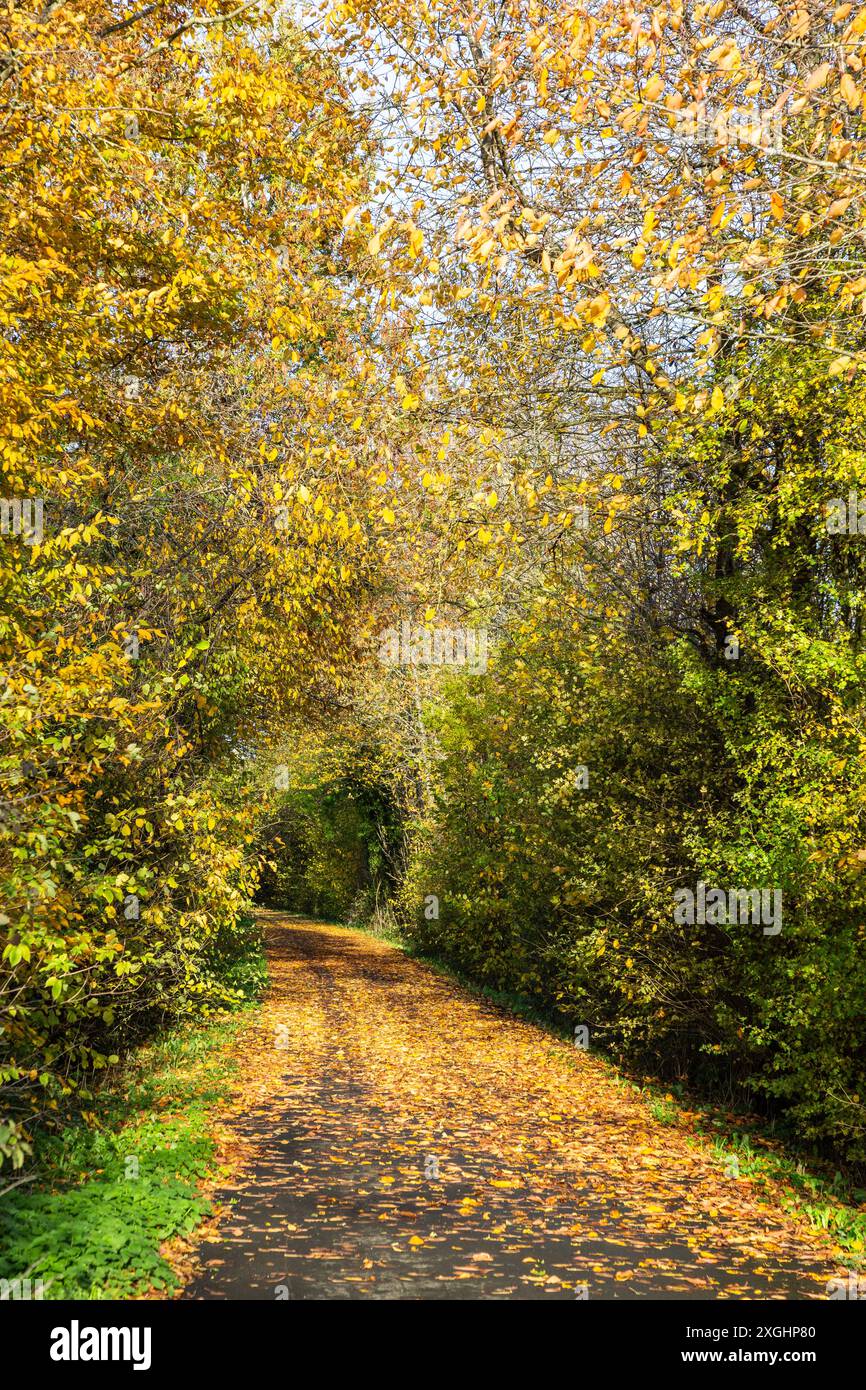 Littered country road hi-res stock photography and images - Alamy