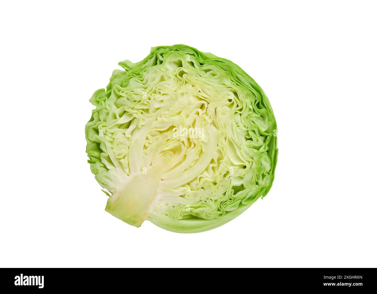 Cabbage with clipping path. Close up background and texture of green ...