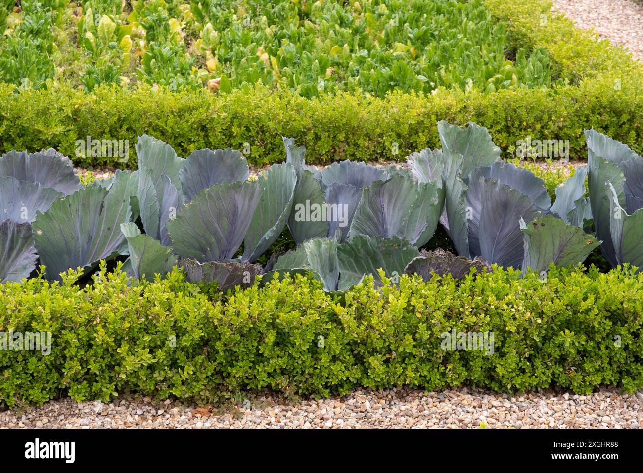 Potager garden vegetables hi-res stock photography and images - Alamy