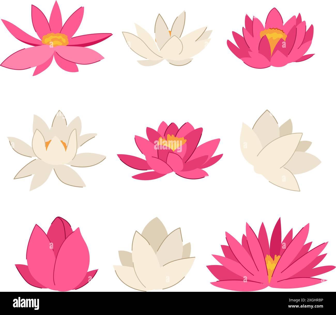 lotus flower set cartoon vector illustration Stock Vector Image & Art ...