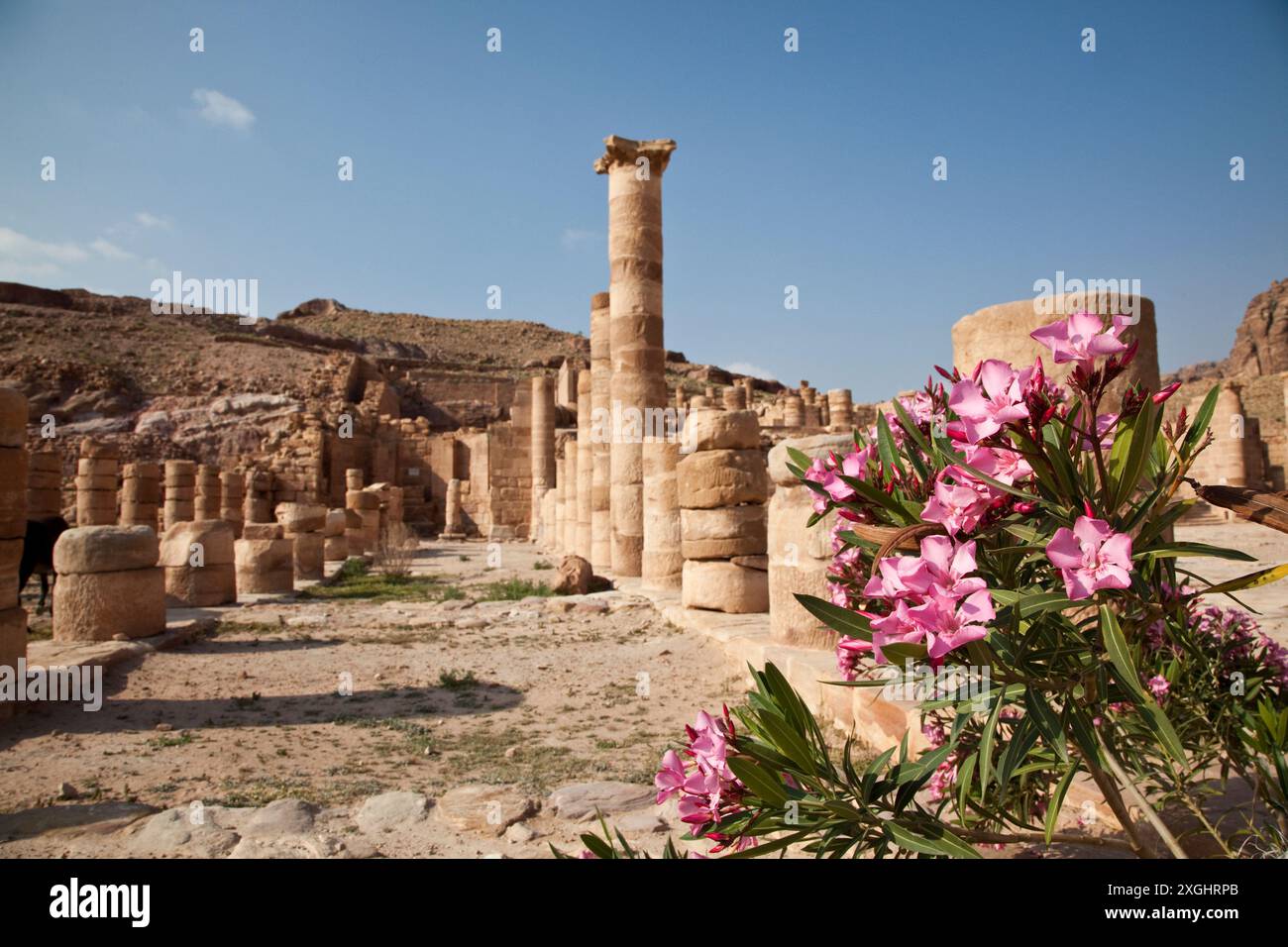 Great Temple, Petra, Jordan Stock Photo - Alamy