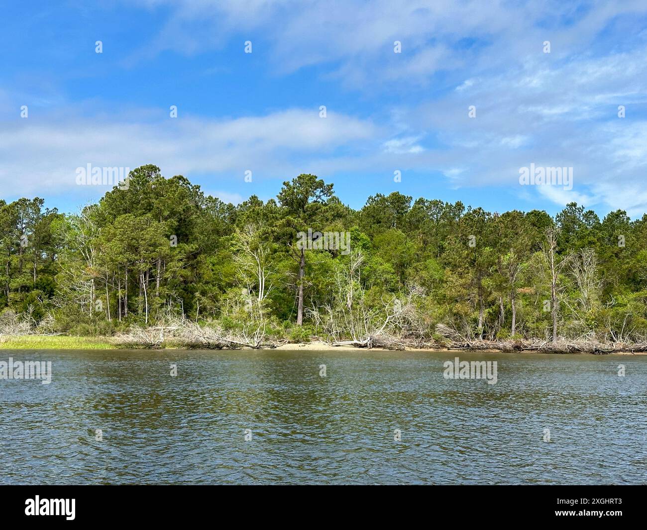 Scenic views of Adams Creek, part of the Intracoastal Waterway through ...