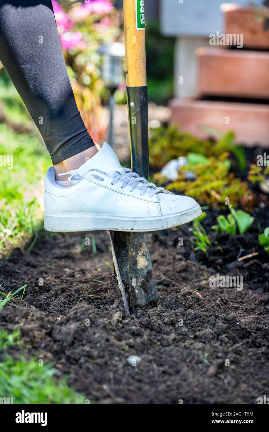 Digging in the garden flower bed, springtime gardening, getting the ...