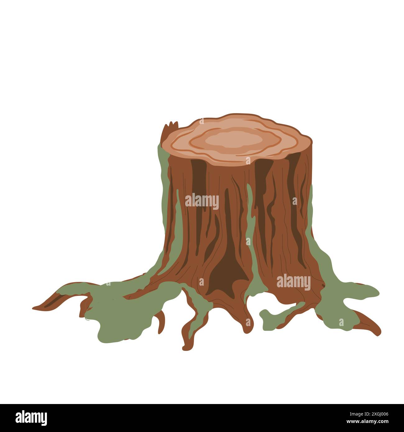 An old stump vector isolated illustration. Forest design element Stock ...