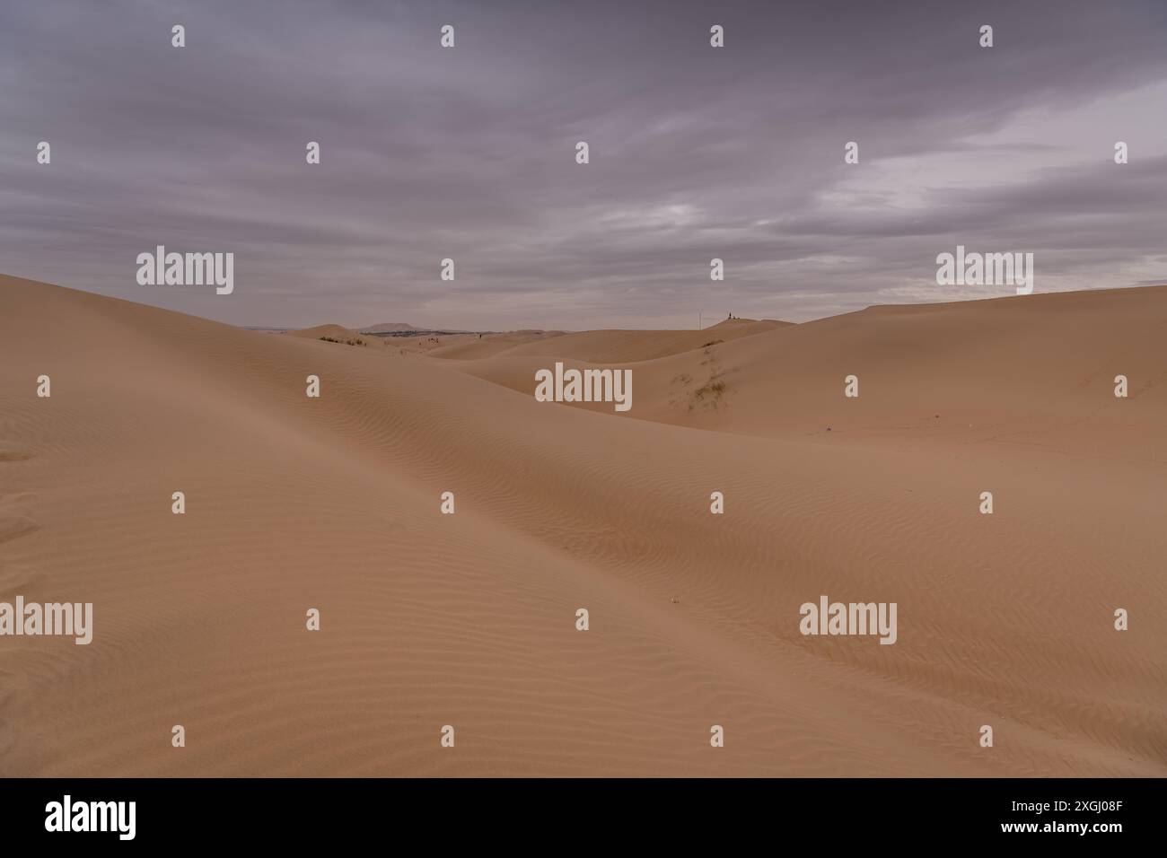 Tengger desert scenery, Inner Mongolia, China. The windy weather with ...