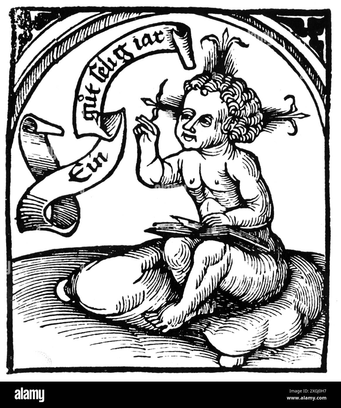 Christmas, symbols, infant Jesus, woodcut, from: Alexander de Villa Dei ...