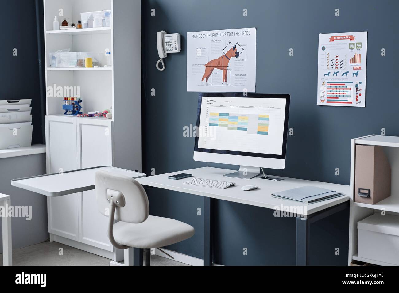 Background image of modern veterinarian workplace with dog breeds ...