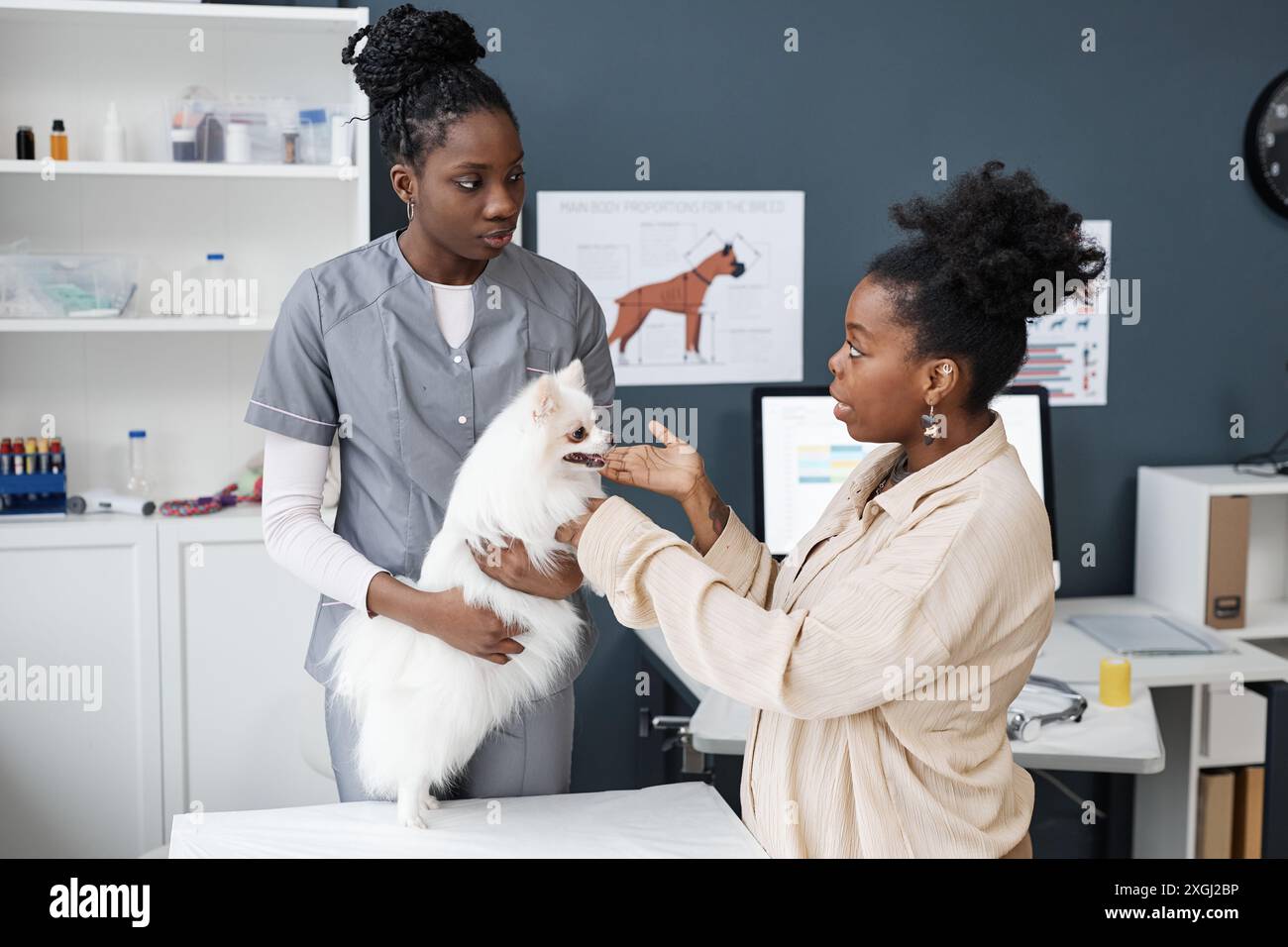 Shot of female African American veterinarian and Black woman dog owner ...