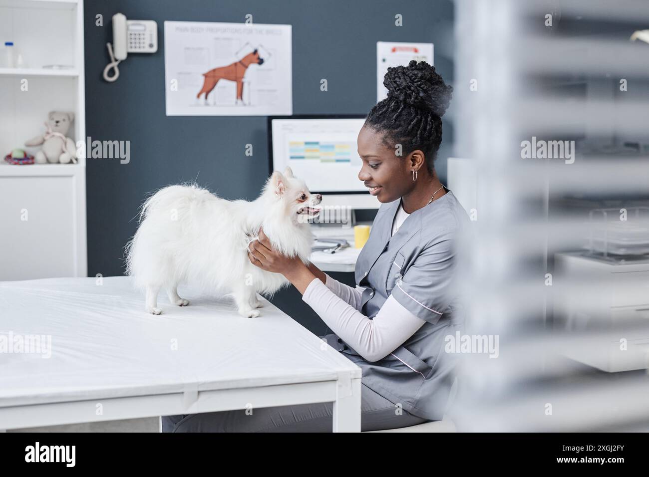 Side view portrait female vet expert of African American ethnicity in ...