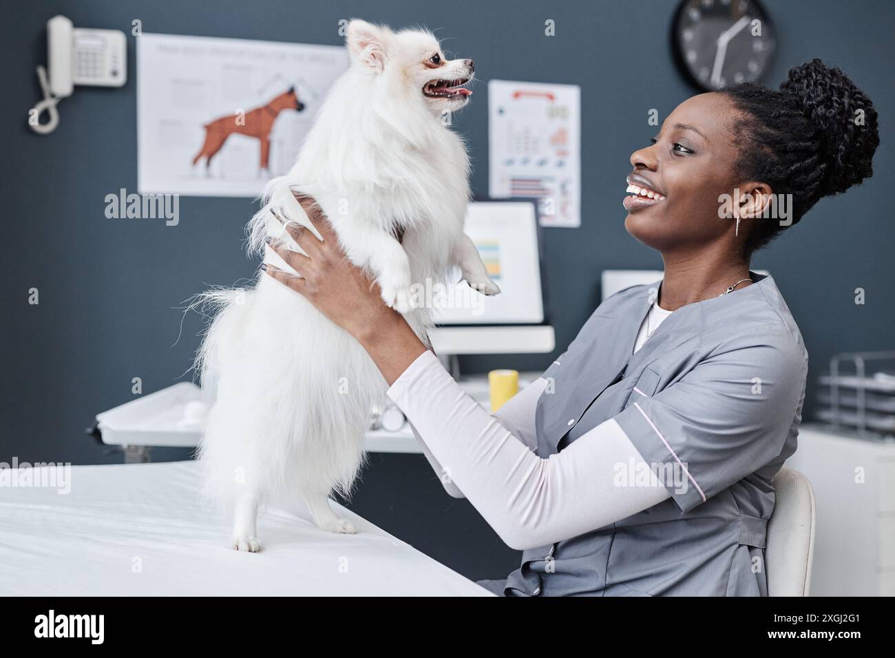 African american veterinarian standing hi-res stock photography and ...