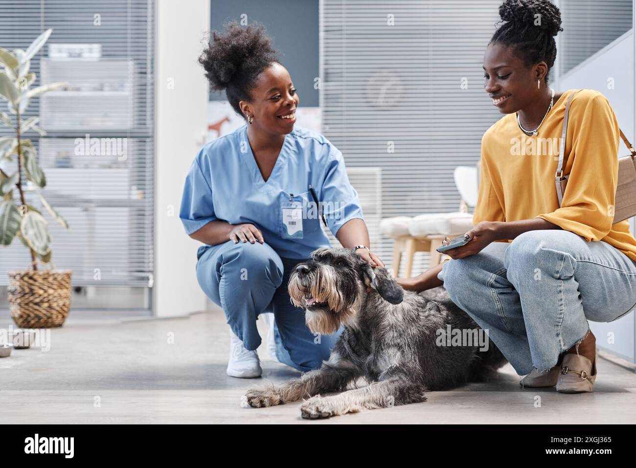 Shot of smiling female African American dog owner and vet doctor ...