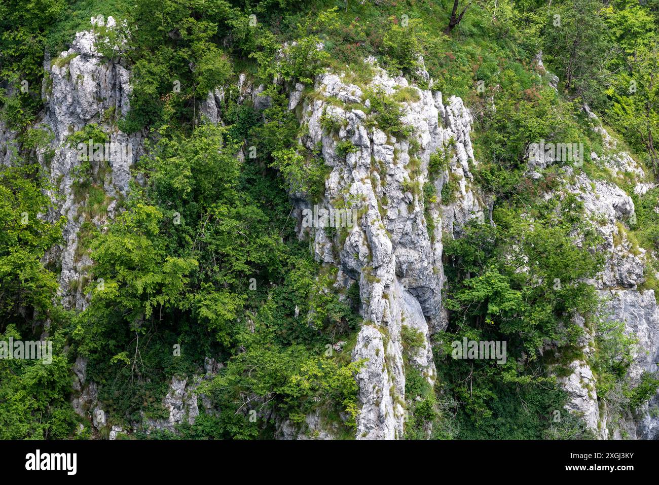 Limestone Cliff Formations in The Plitvice Lakes National Park, Croatia ...