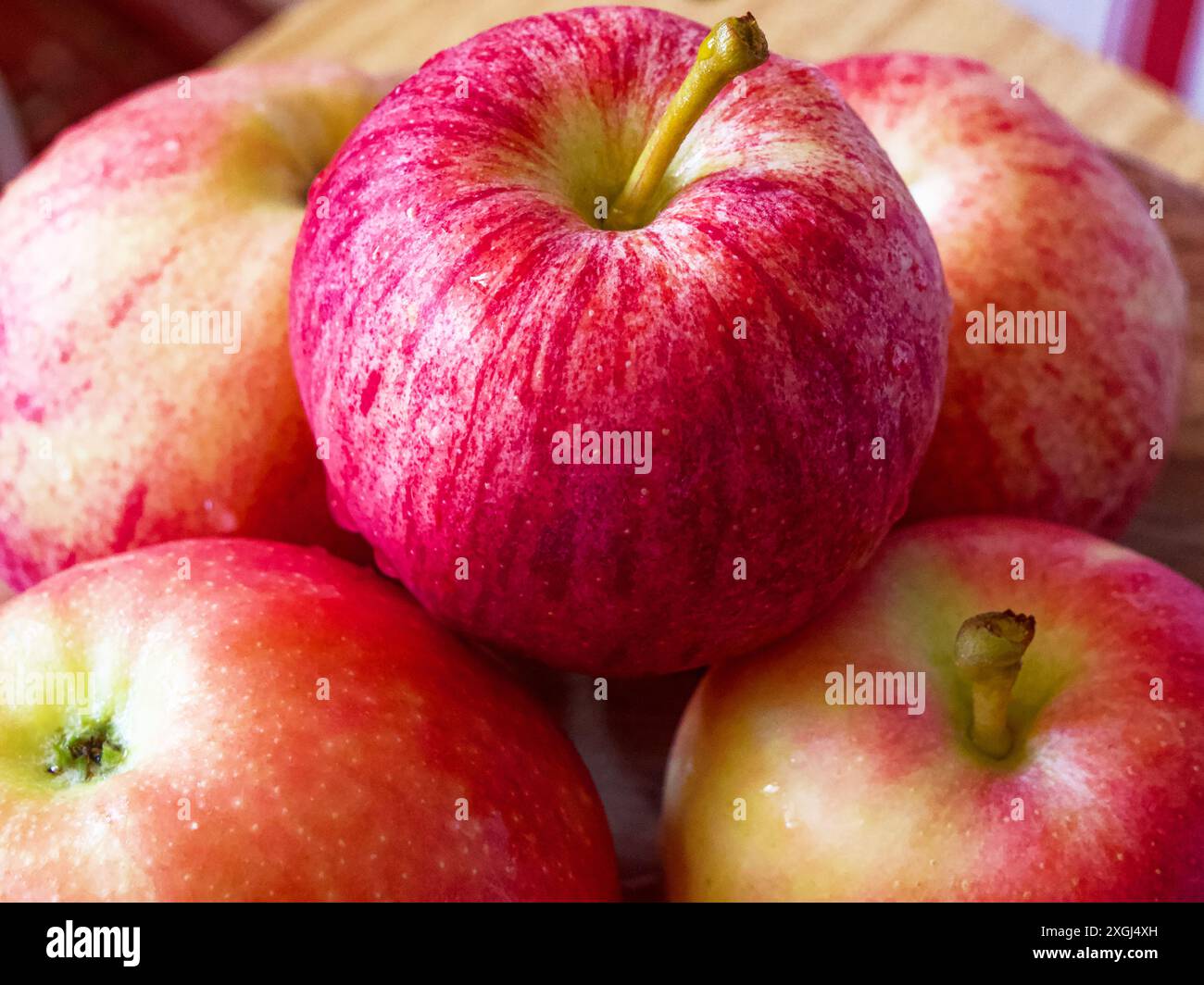 Crisp Apple Array: A selection of ripe apples, red and green, with ...