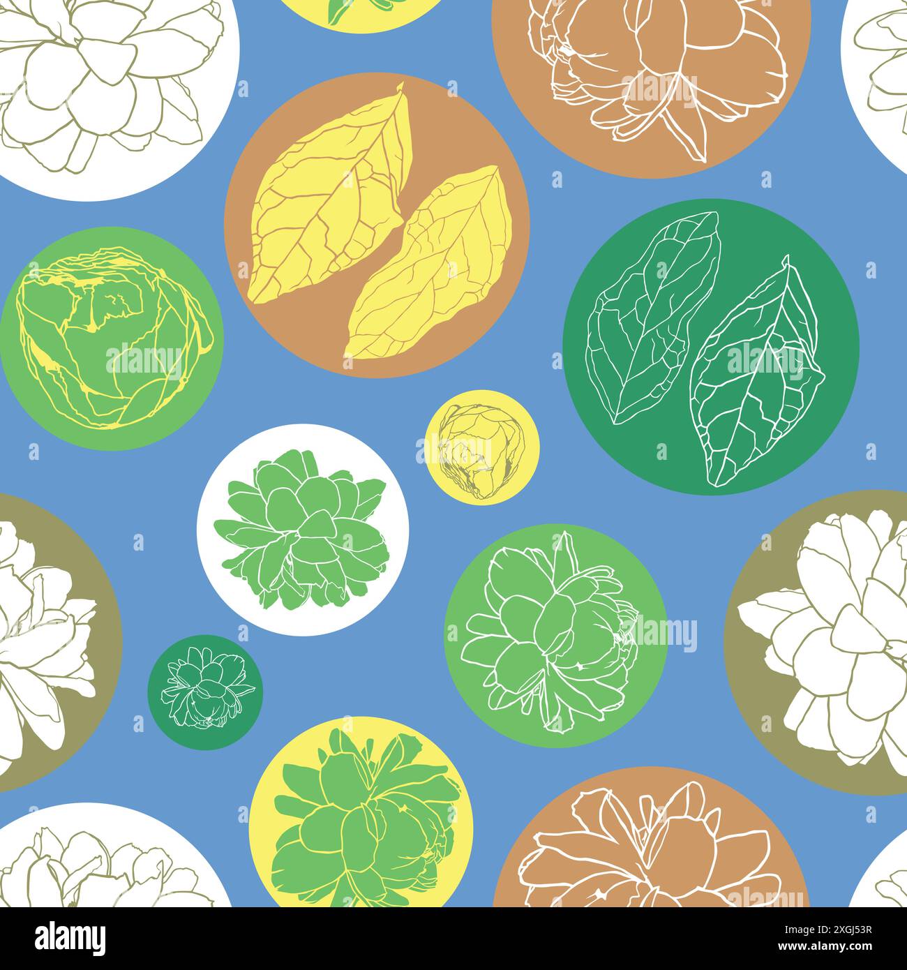 Arabian jasmine flower Stock Vector Images - Alamy