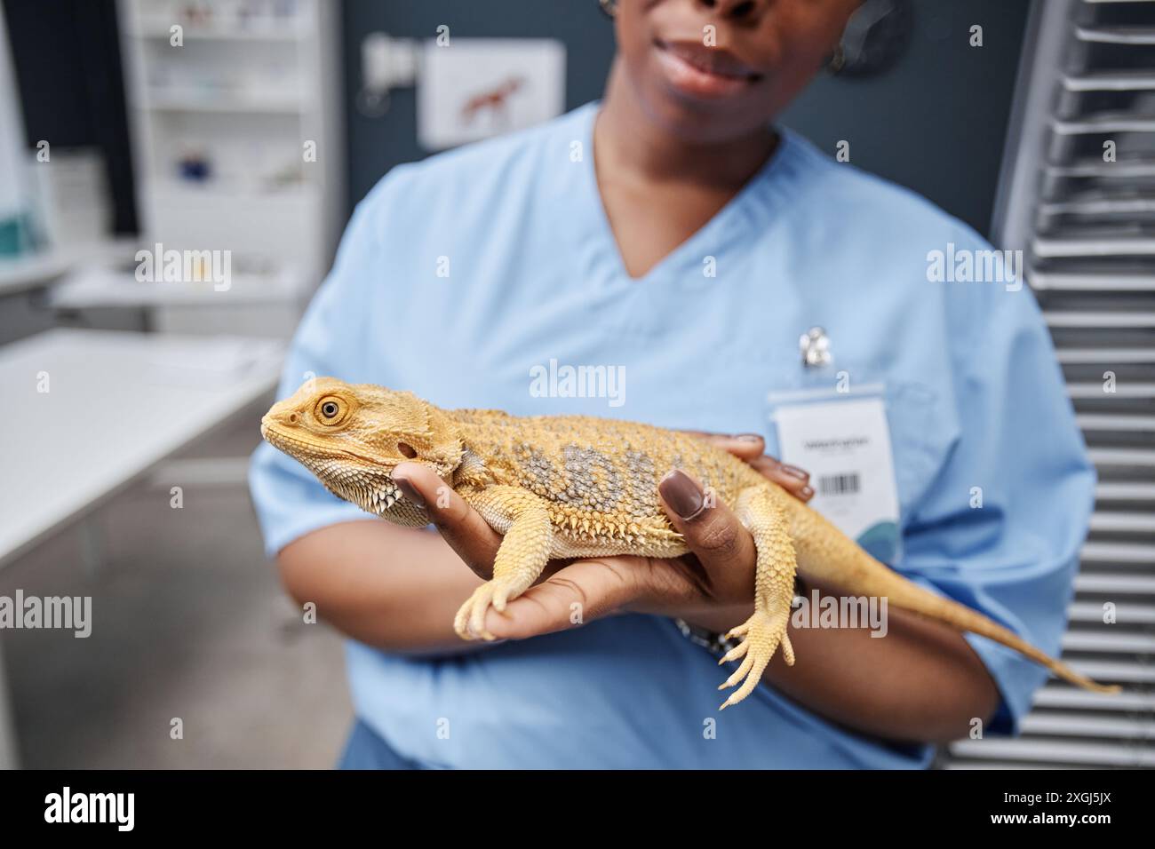 African woman vet in full hi-res stock photography and images - Alamy