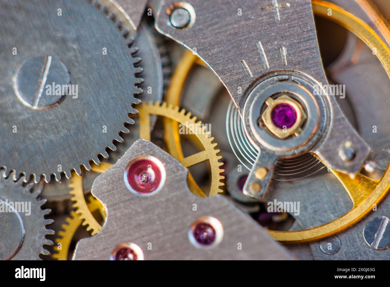 wrist watch mechanism and ruby inside, time passing concept Stock Photo ...