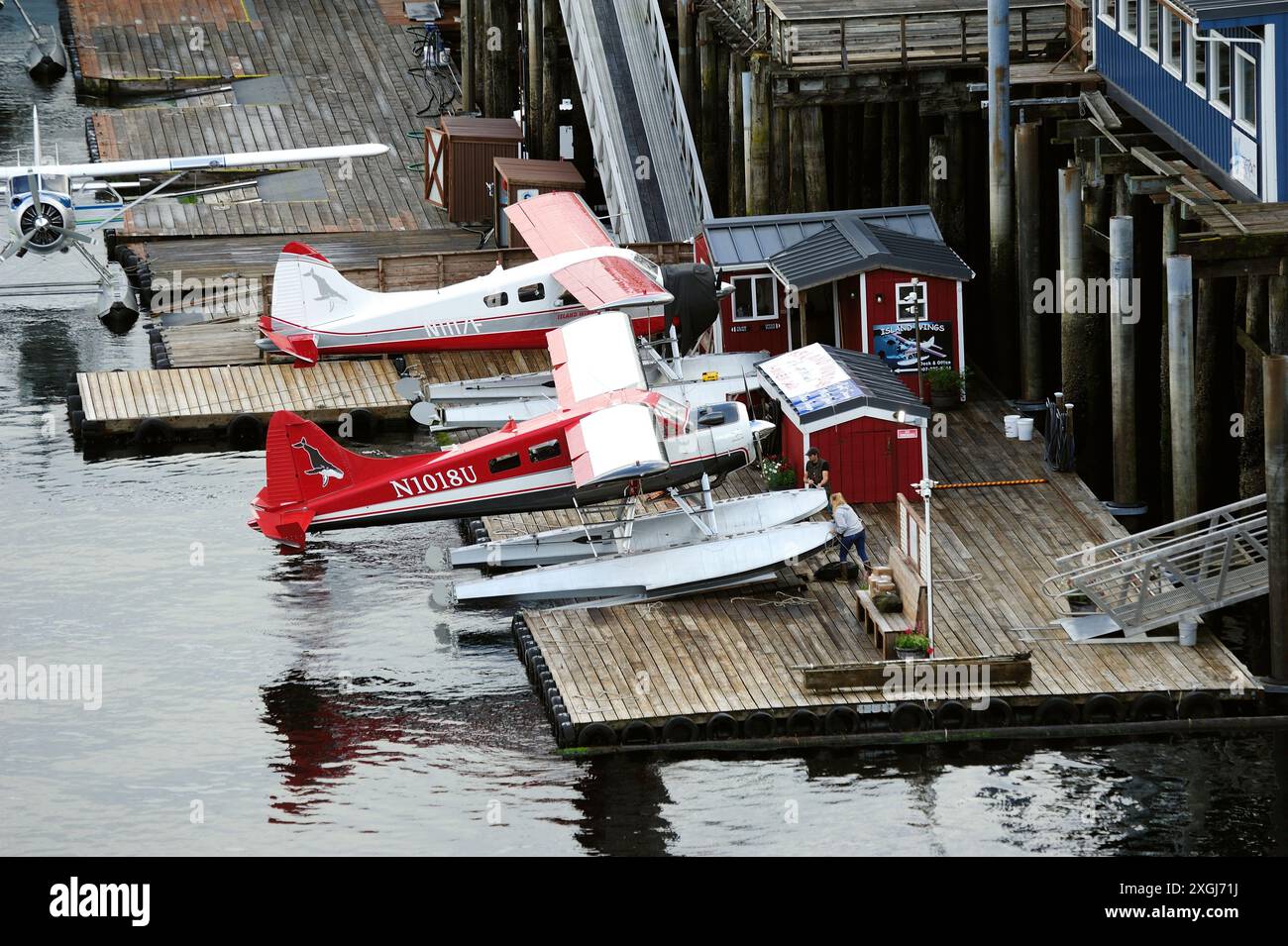 Sitka, Alaska, USA - 29th June 2024:Pushing Beaver Sea plane N1018U in ...