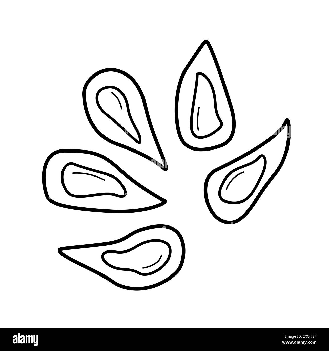 Open mussel shells set. Vector illustration of seafood delicacies ...