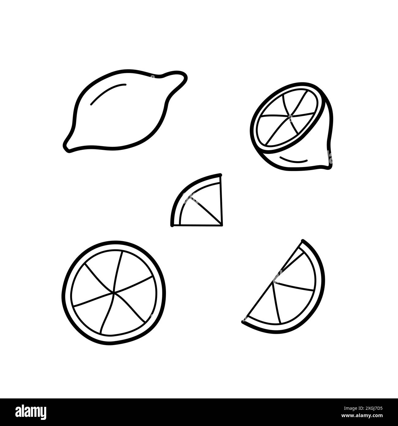 Lemon set drawings, whole and lemon slices. Vector illustration doodle ...