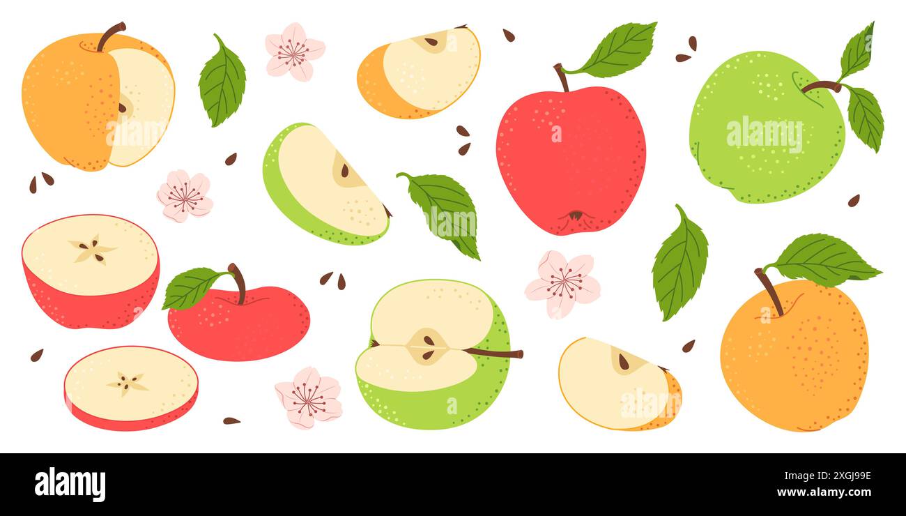Apple fruit vector set. Whole, half, slice of red green and yellow apple fruit with green leaves ...