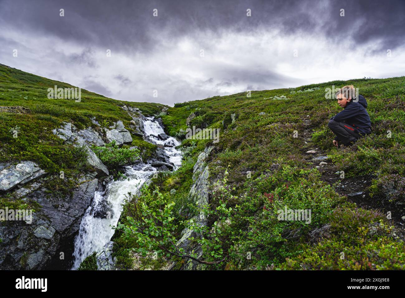 Rough vegetation surround hi-res stock photography and images - Alamy