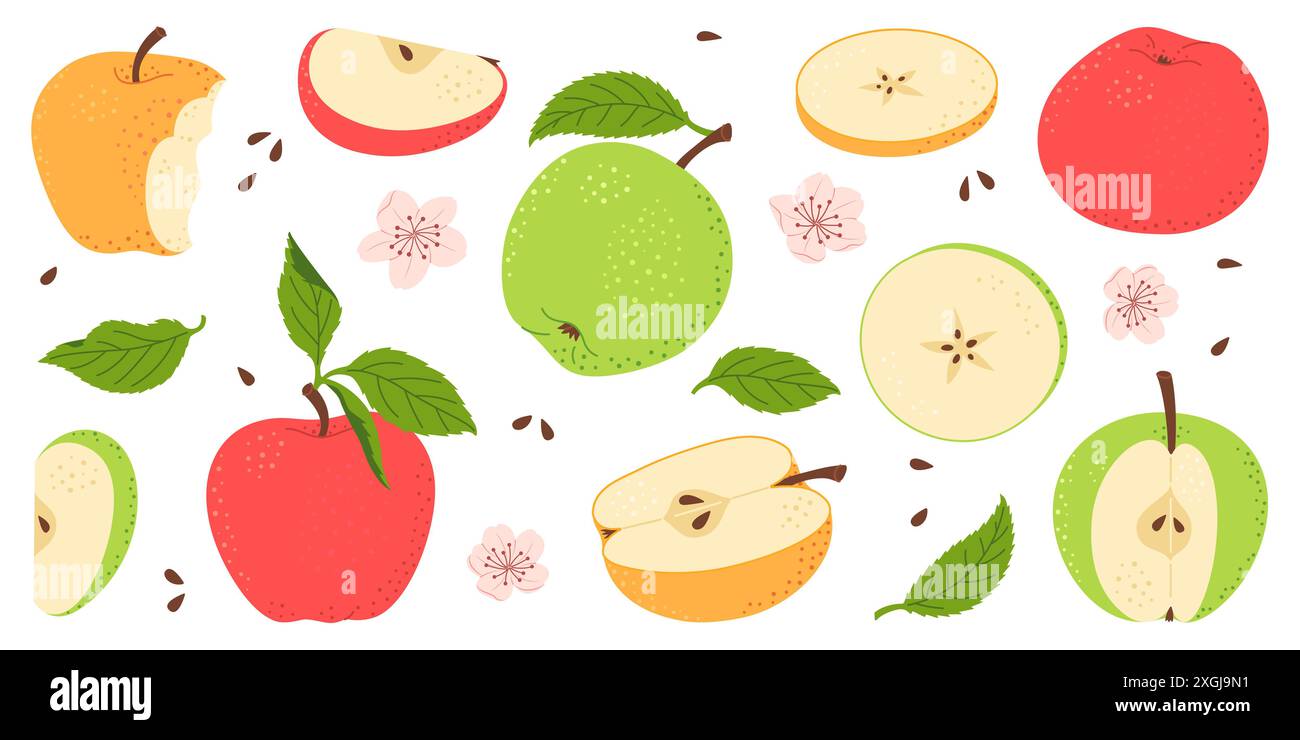 Apple fruit vector set. Whole, half, slice of red green and yellow apple fruit with green leaves ...