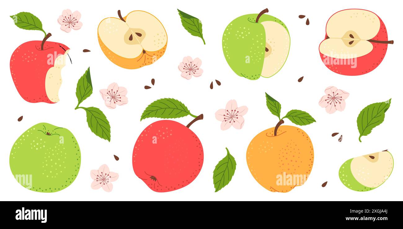 Apple fruit vector set. Whole, half, slice of red green and yellow apple fruit with green leaves ...