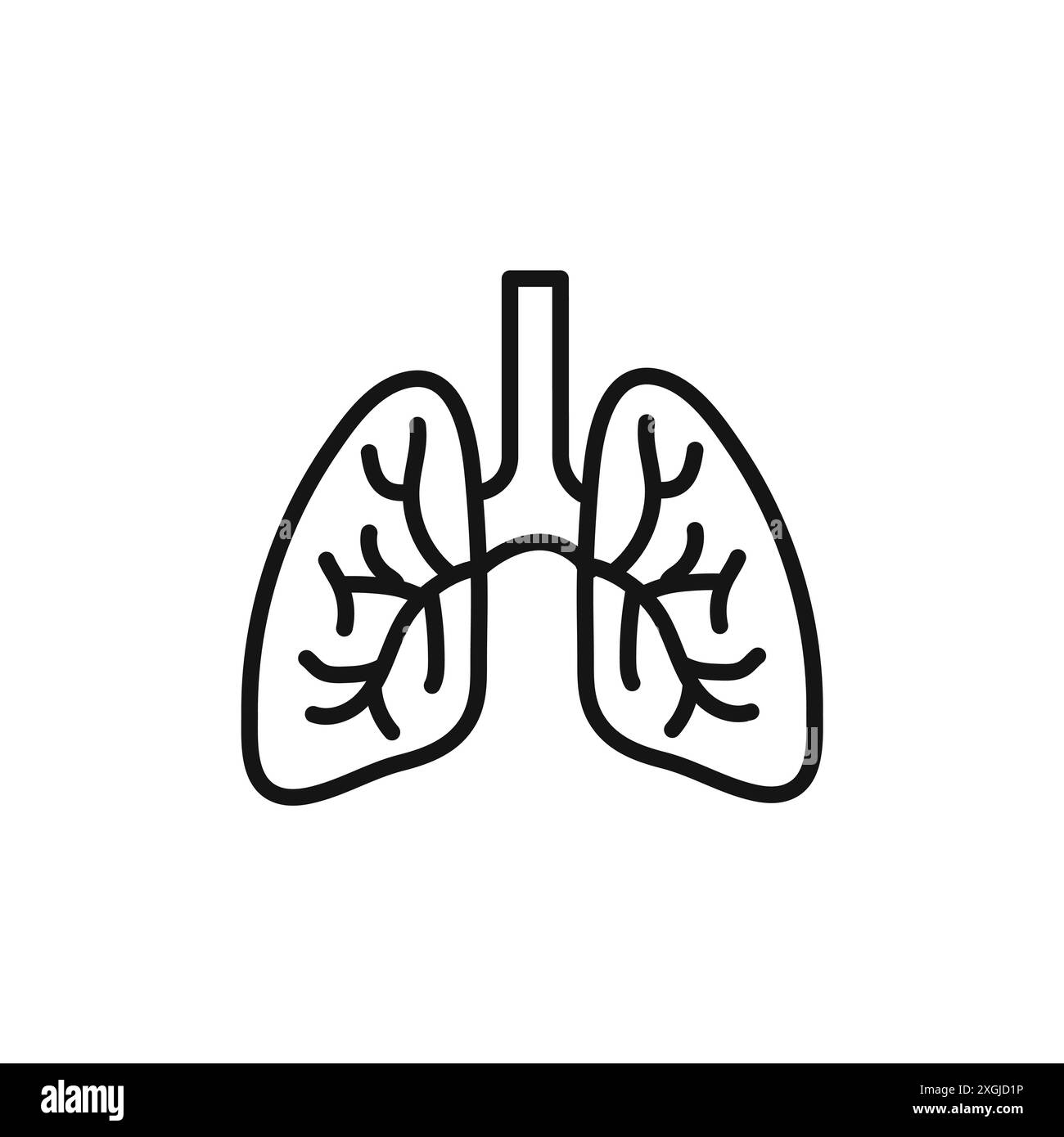 Human lungs icon vector vectors Black and White Stock Photos & Images ...
