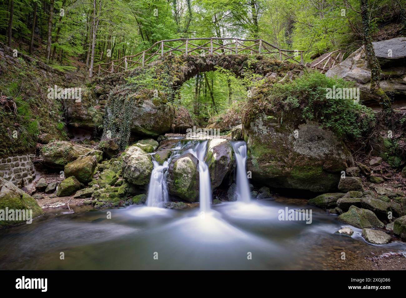 Europe, Luxembourg, Grevenmacher, Mullerthal Trail, Schiessentumpel ...