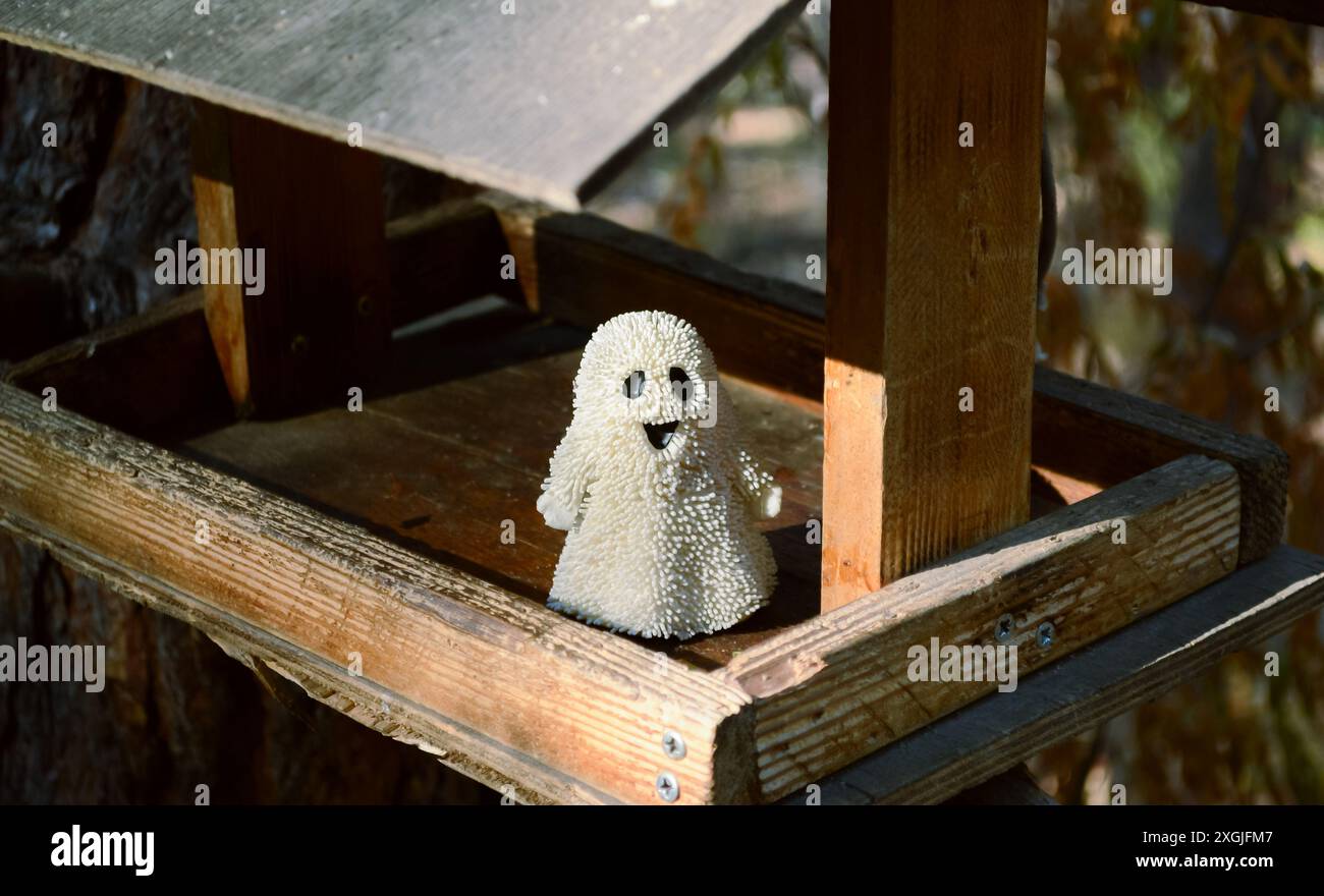 Birdfeeder and treat hi-res stock photography and images - Alamy