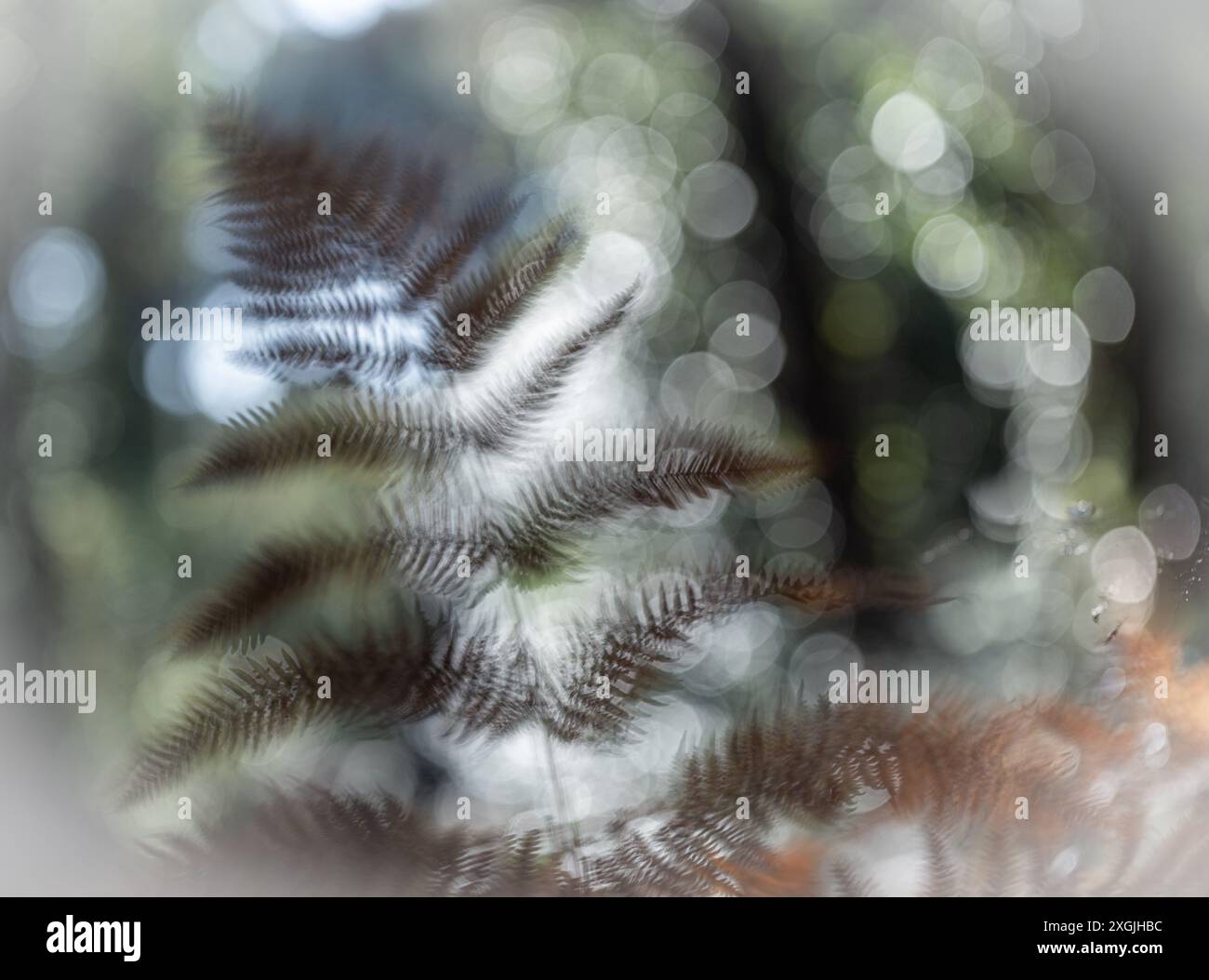 Fantasy dreamy vibes hi-res stock photography and images - Alamy