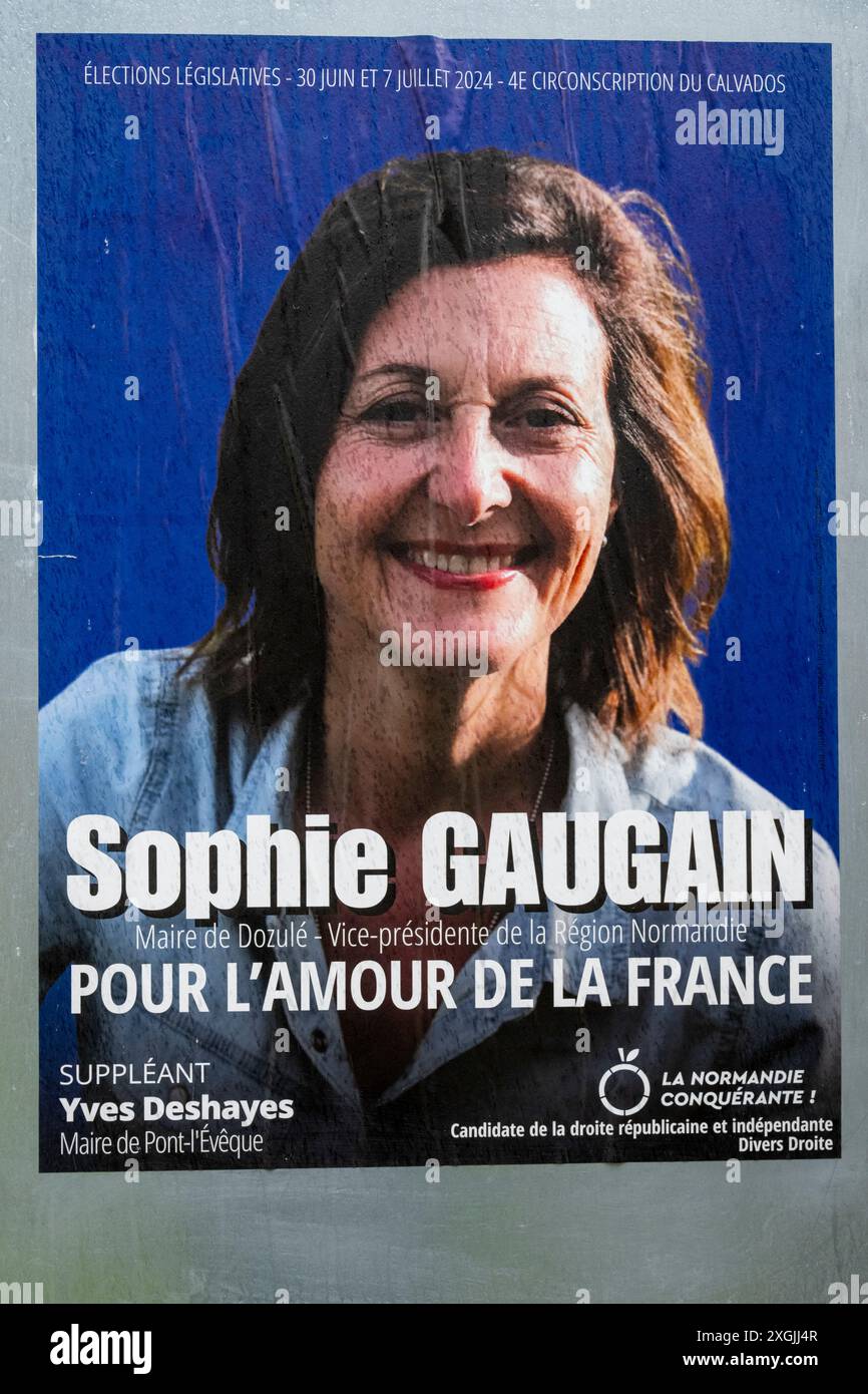 French election posters on display in France 2024 Stock Photo - Alamy