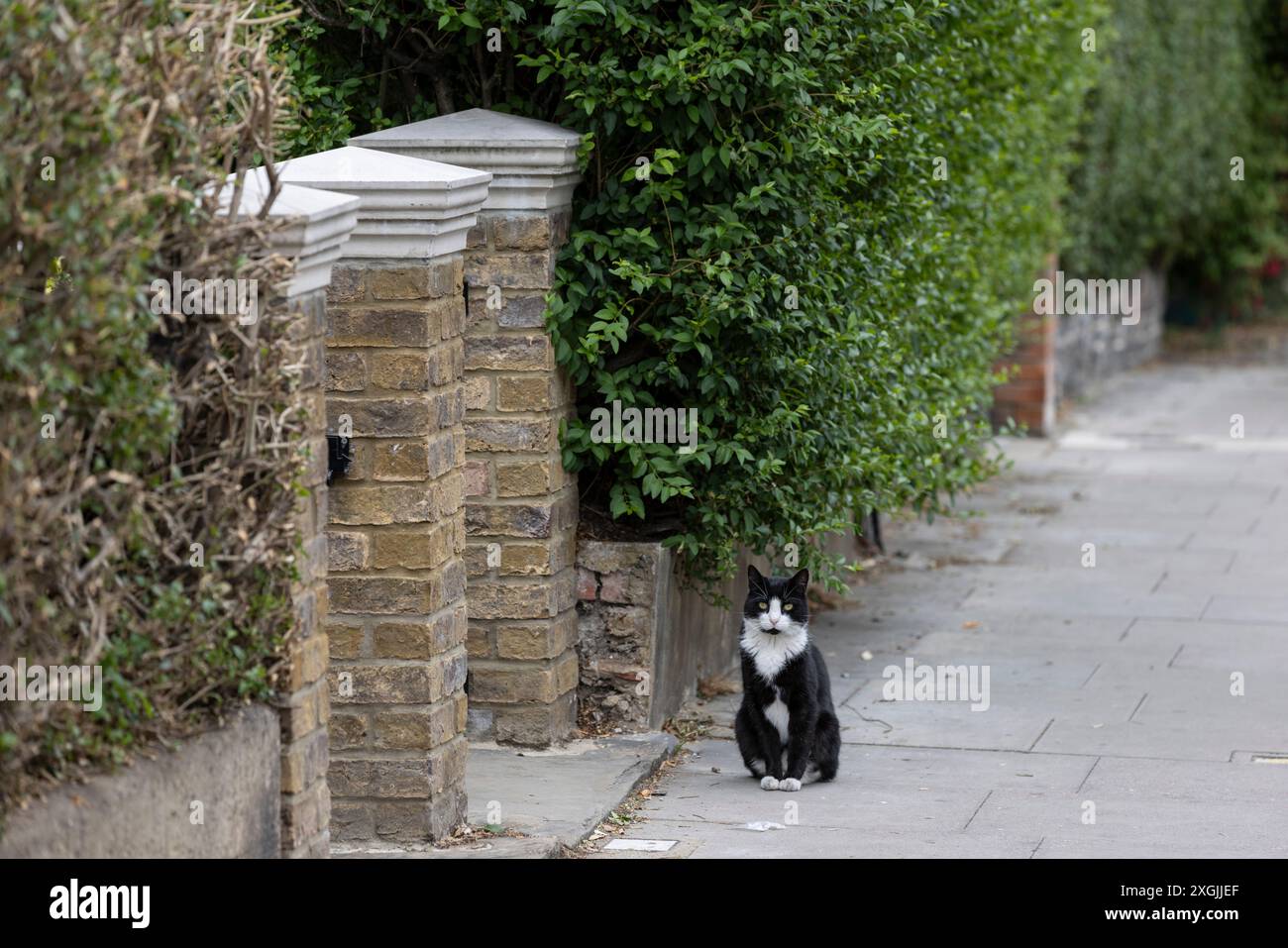 Area surrounding Kentish Town in North London, home of Labour Party ...