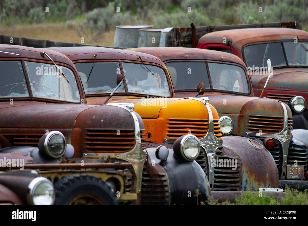 Rusty old trucks hi-res stock photography and images - Alamy