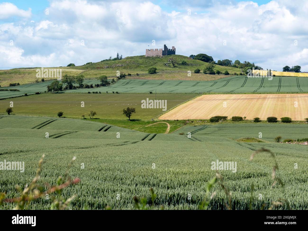 View of Hume Castle, near Kelso, Scottish Borders, Scotland, UK Stock ...