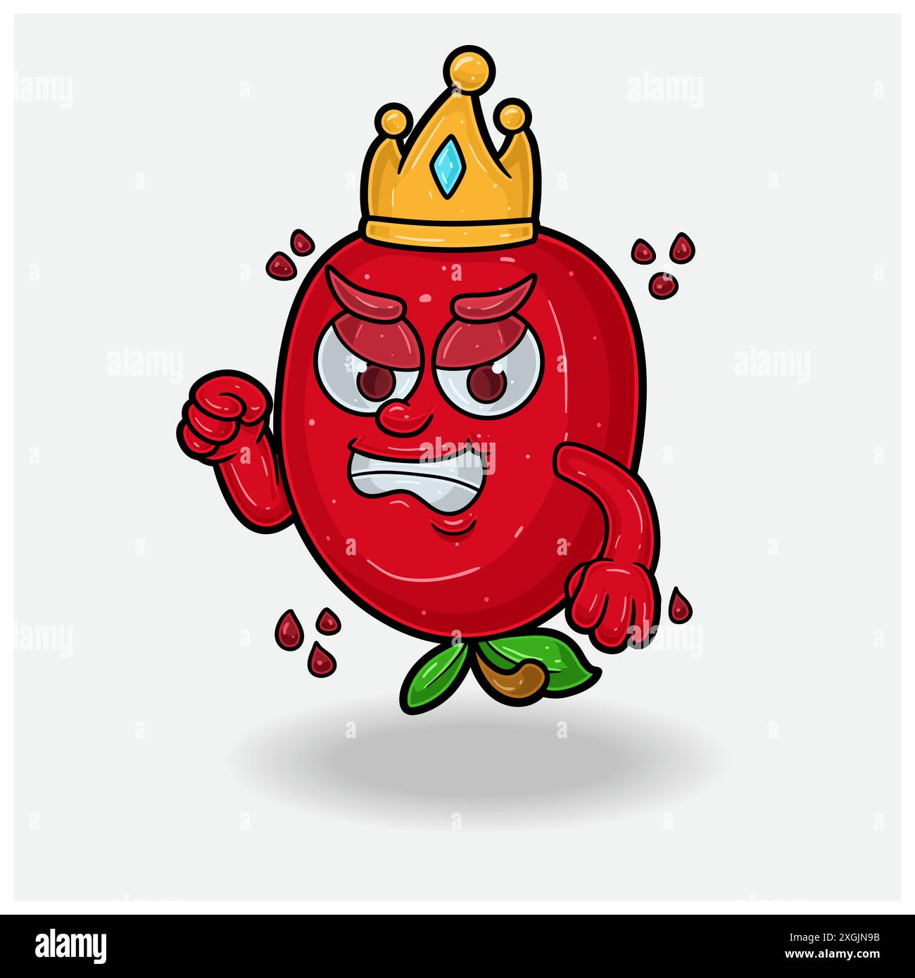 Pomegranate fruit Mascot Character Cartoon With Angry expression. For ...
