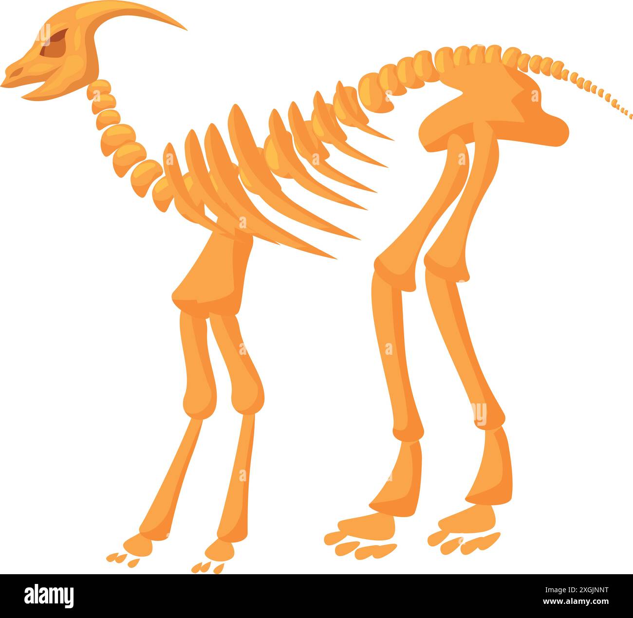 Cartoon orange parasaurolophus dinosaur skeleton standing on two legs ...