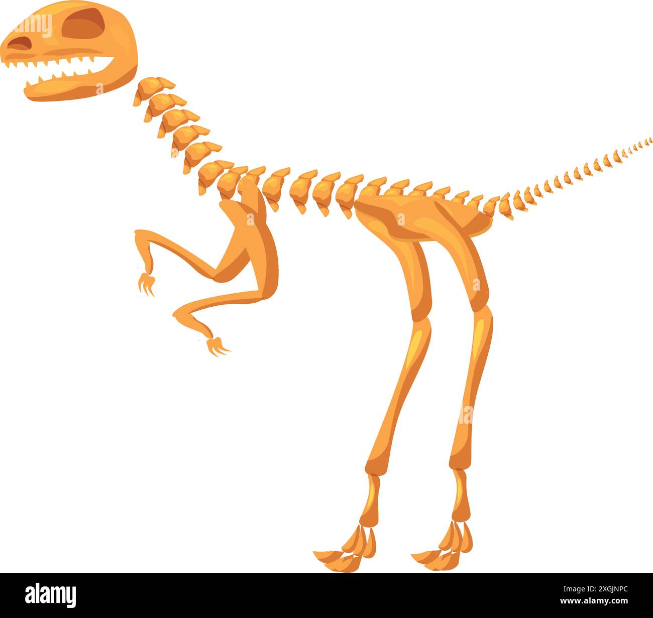 Dinosaur skeleton standing on two legs showing its teeth in cartoon ...