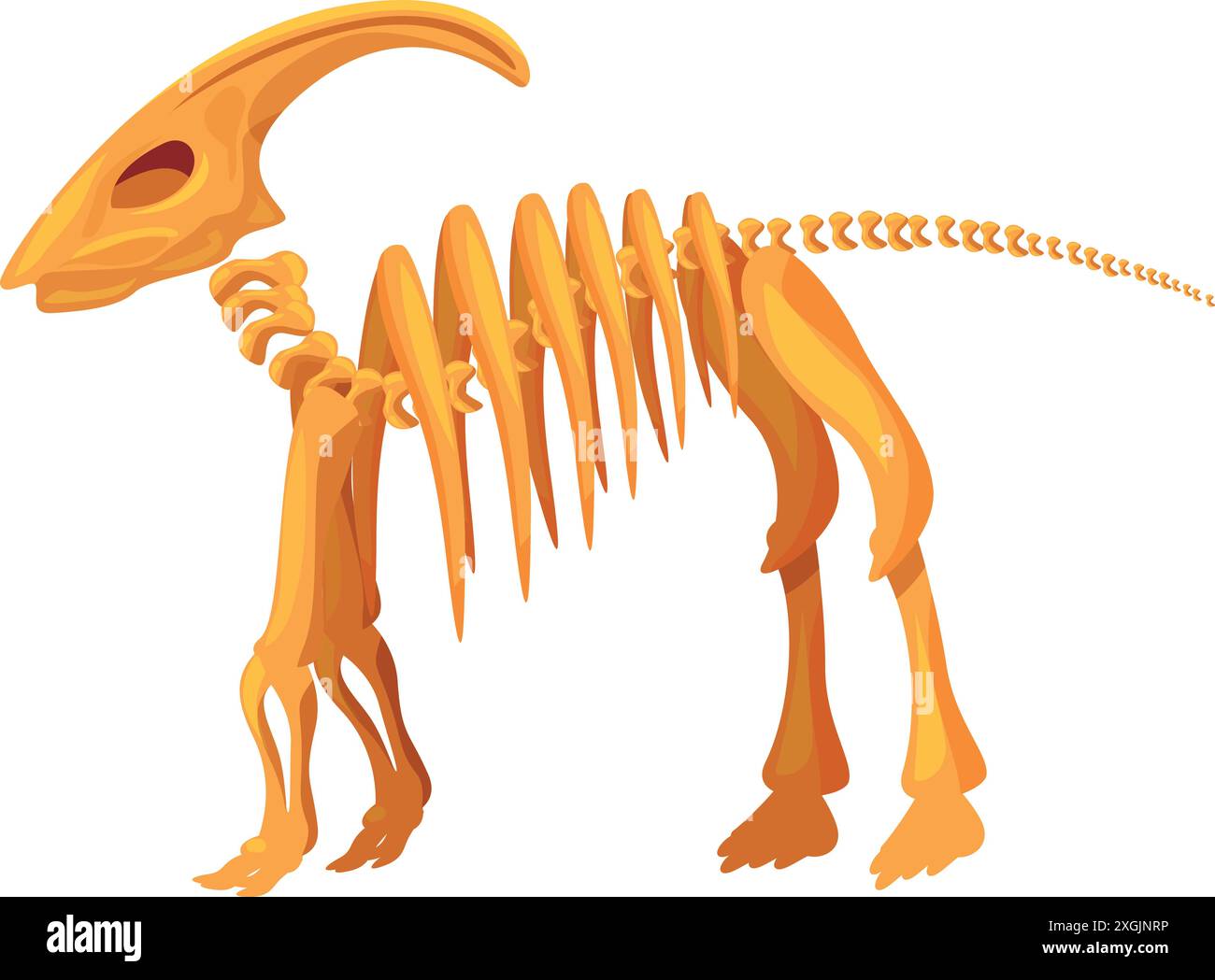 Parasaurolophus dinosaur skeleton standing on two legs, featuring a ...