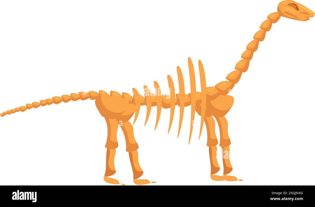 Brachiosaurus skeleton standing on ground, paleontology and archeology ...