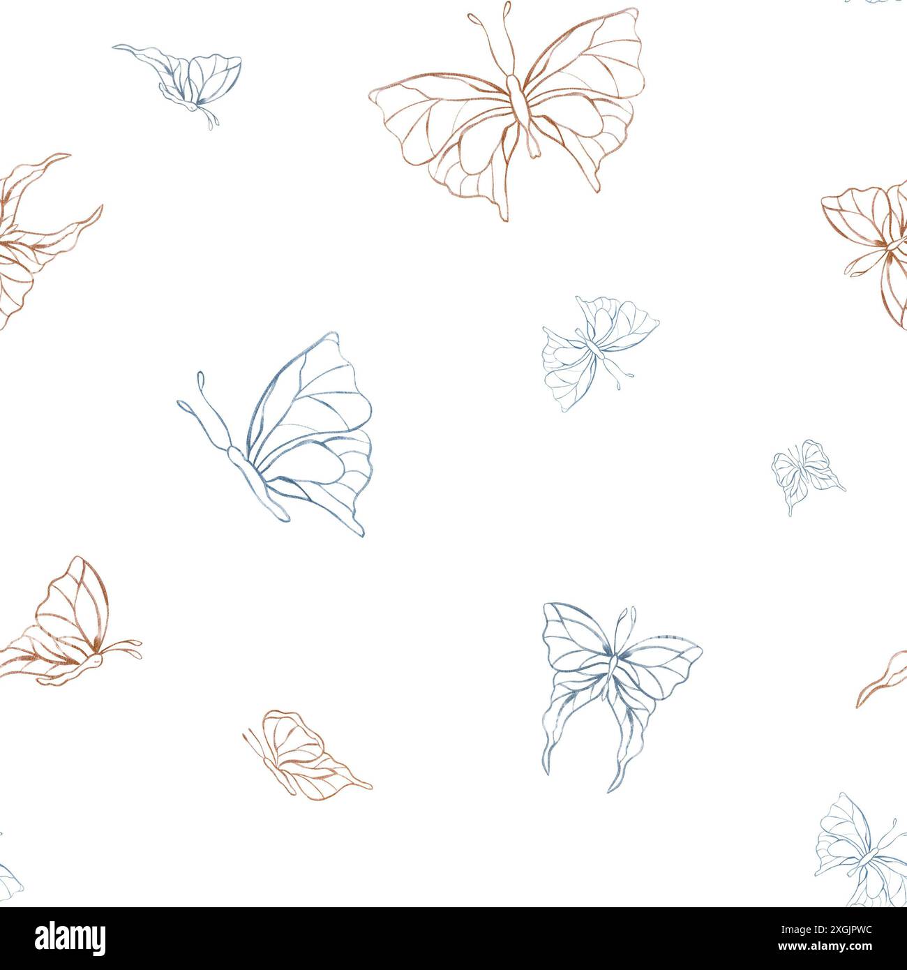 Butterfly curve hi-res stock photography and images - Alamy