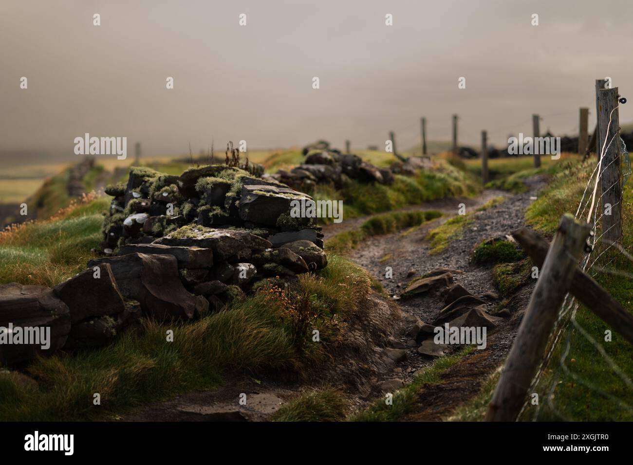 Cliffs of Moher coastal walk path Stock Photo - Alamy
