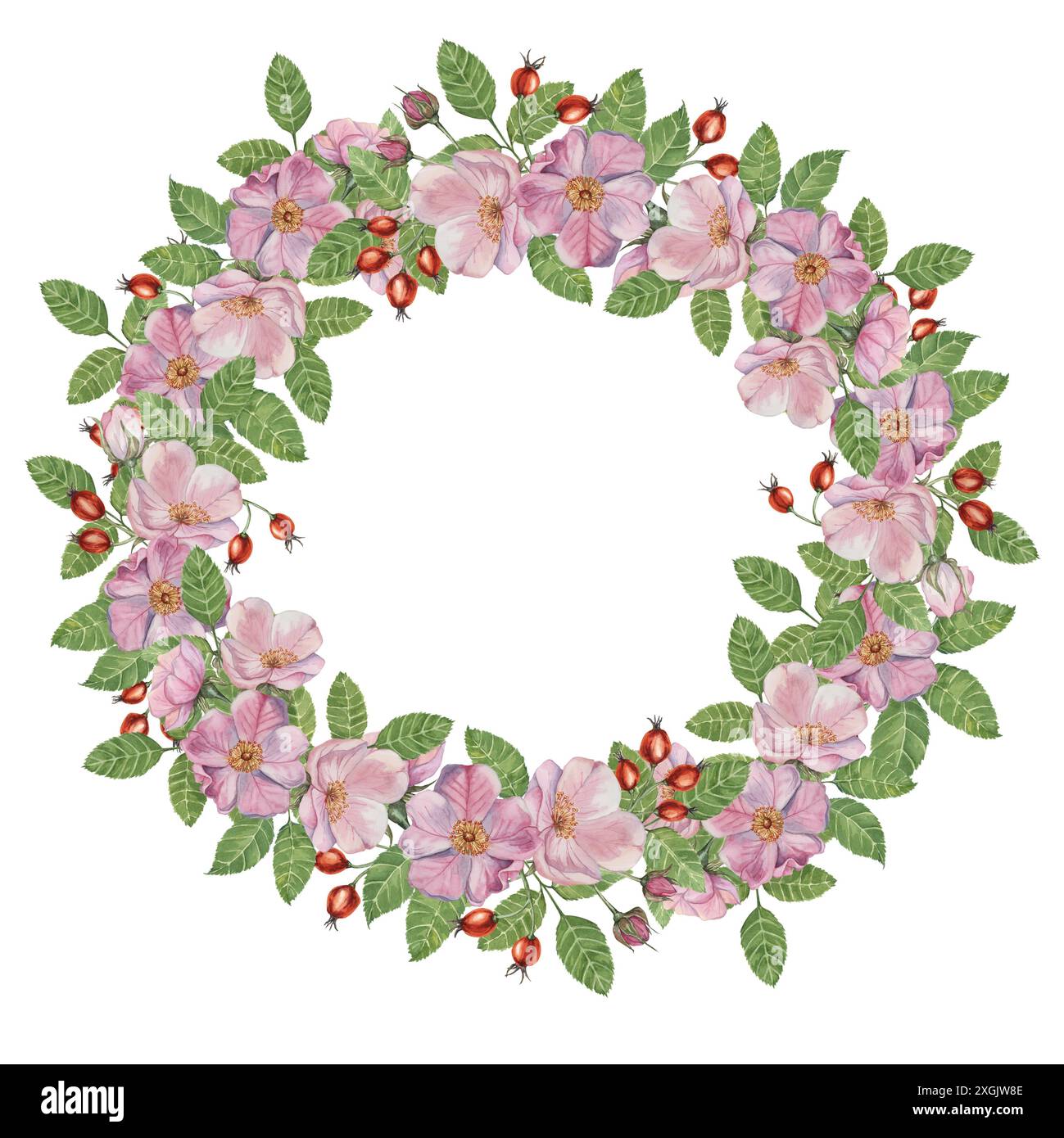 Rosehip round frame template, pink wild rose flowers and leaves ...