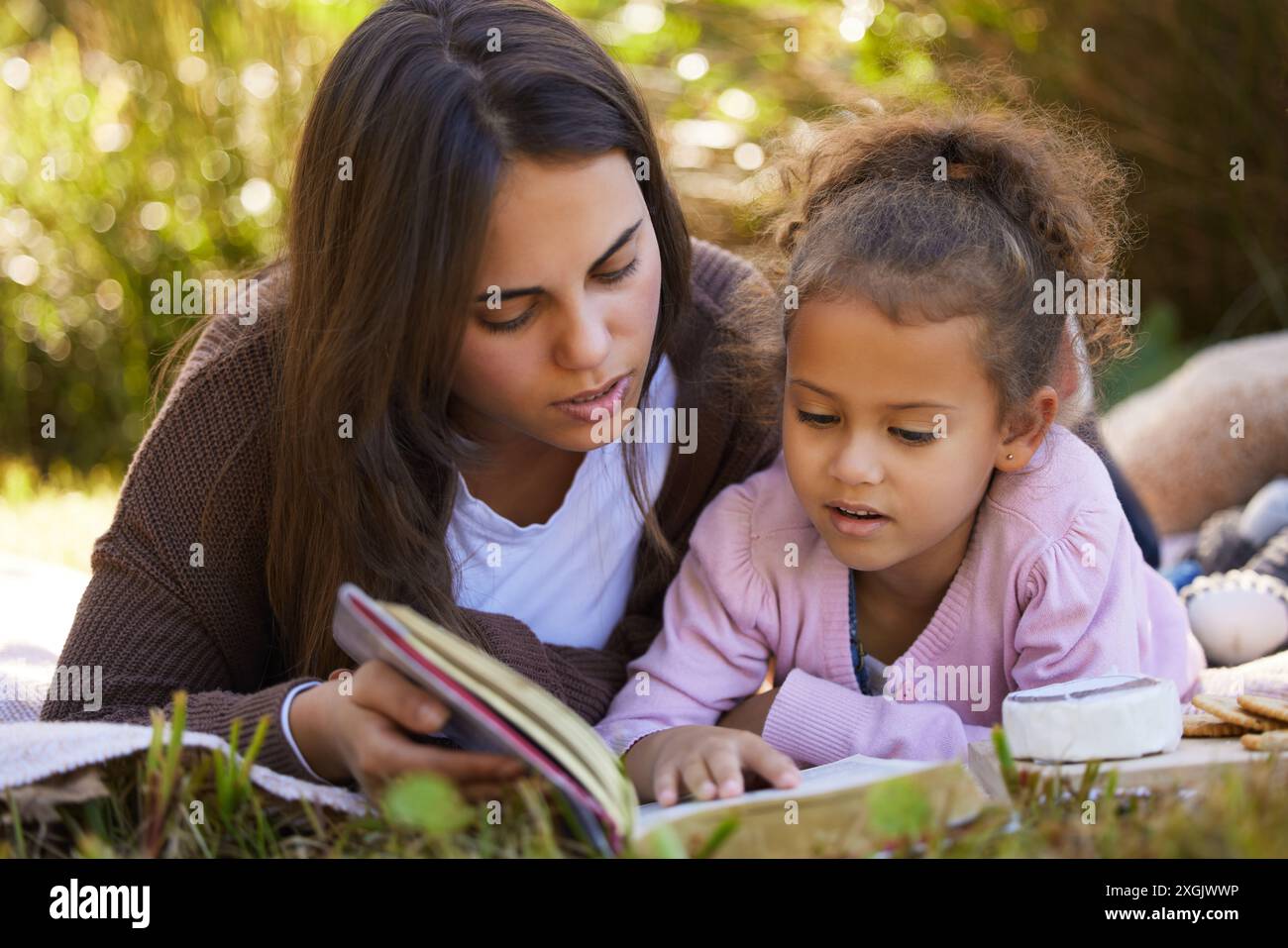Mom reading book daughter picnic hi-res stock photography and images ...