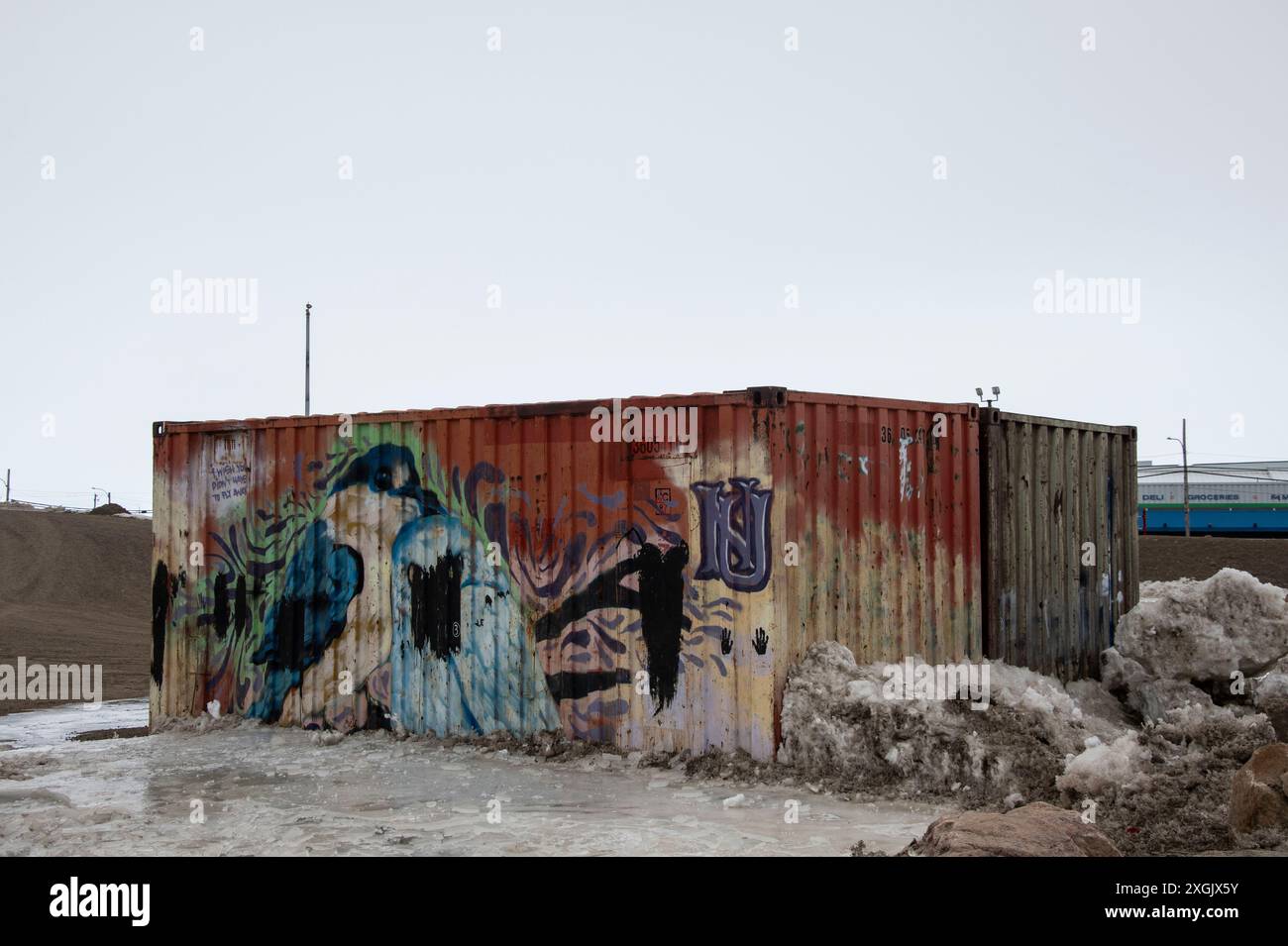 Mural of blue birds on a shipping container in Iqaluit, Nunavut, Canada ...