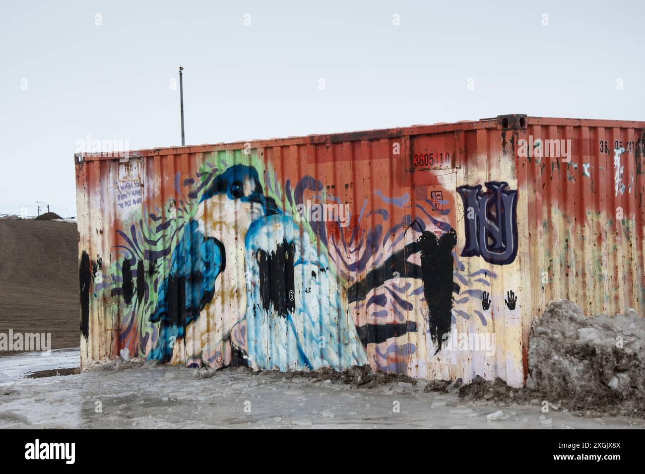 Mural of blue birds on a shipping container in Iqaluit, Nunavut, Canada ...