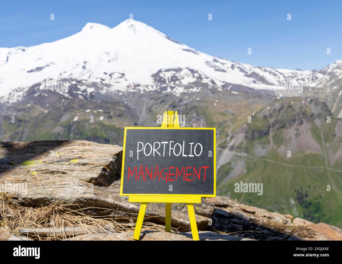 Portfolio management symbol. Concept words Portfolio management on ...