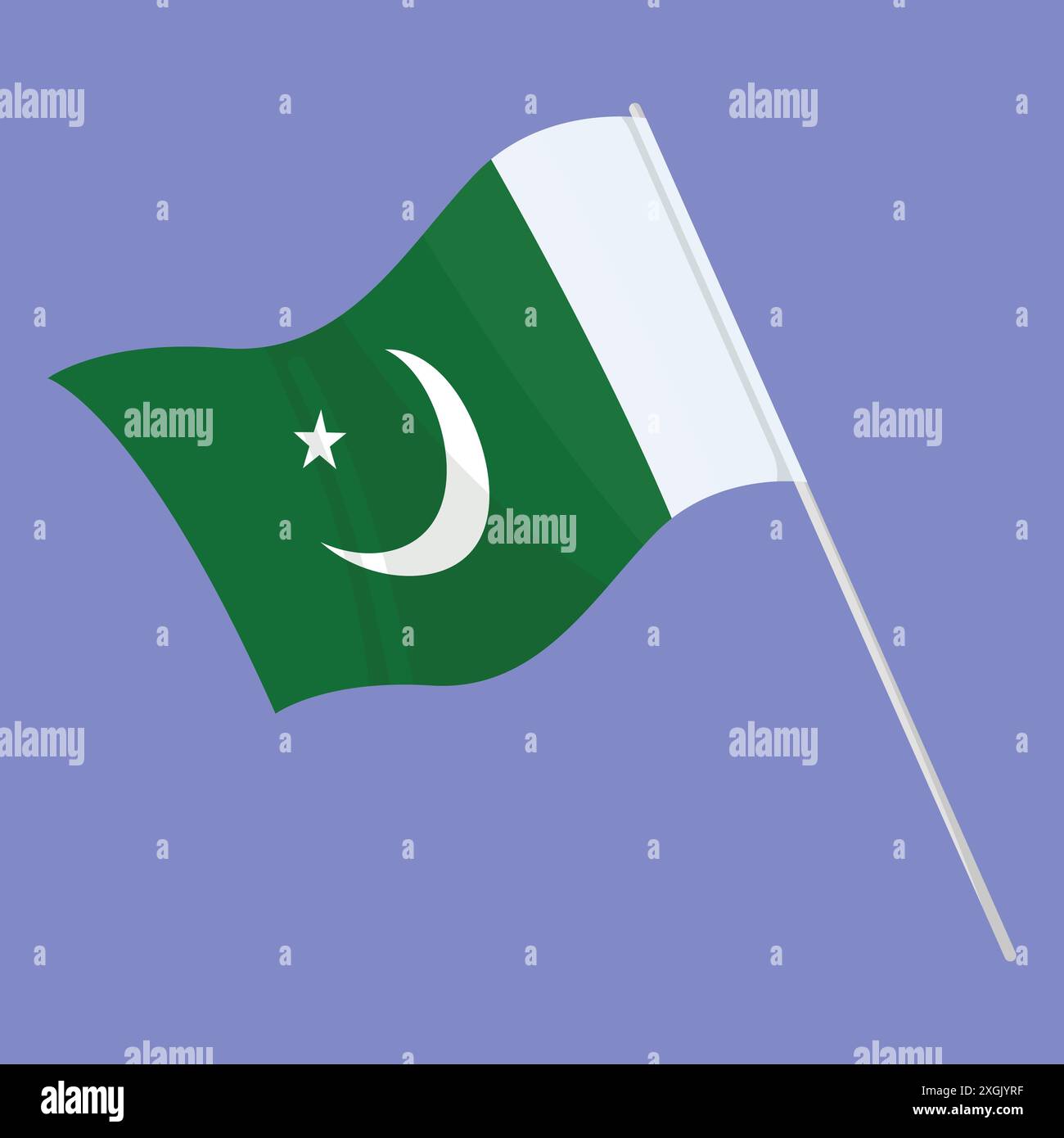 National Flag of Pakistan. Pakistan Flag Vector icon. Independence day ...